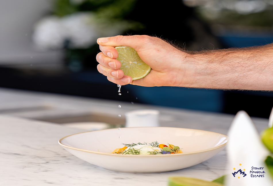 Evolution Boat Hire - Private Party Boat Charter - Sydney Harbour