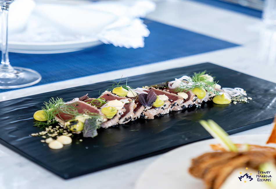 Evolution Boat Hire - Private Party Boat Charter - Sydney Harbour