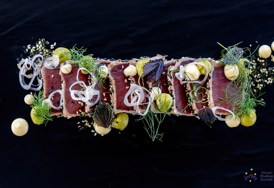 Evolution Boat Hire - Private Party Boat Charter - Sydney Harbour