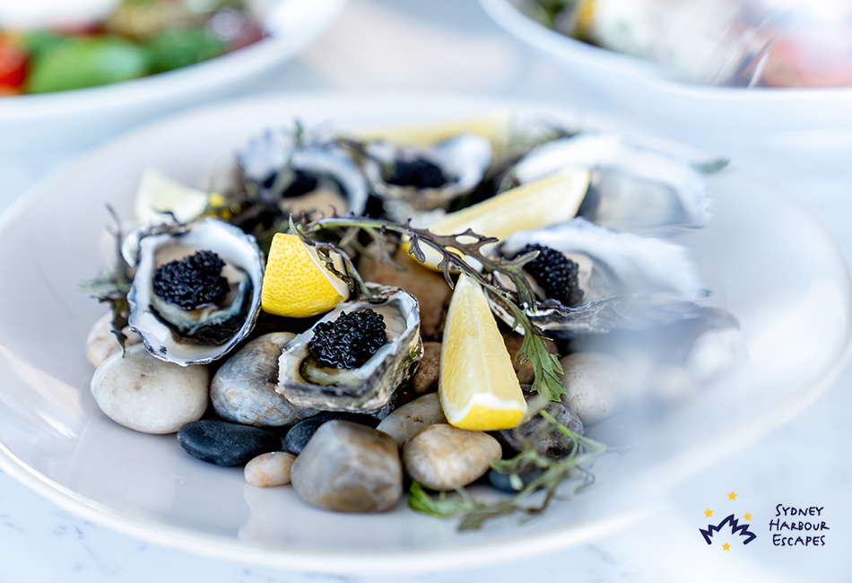 Evolution Boat Hire - Private Party Boat Charter - Sydney Harbour