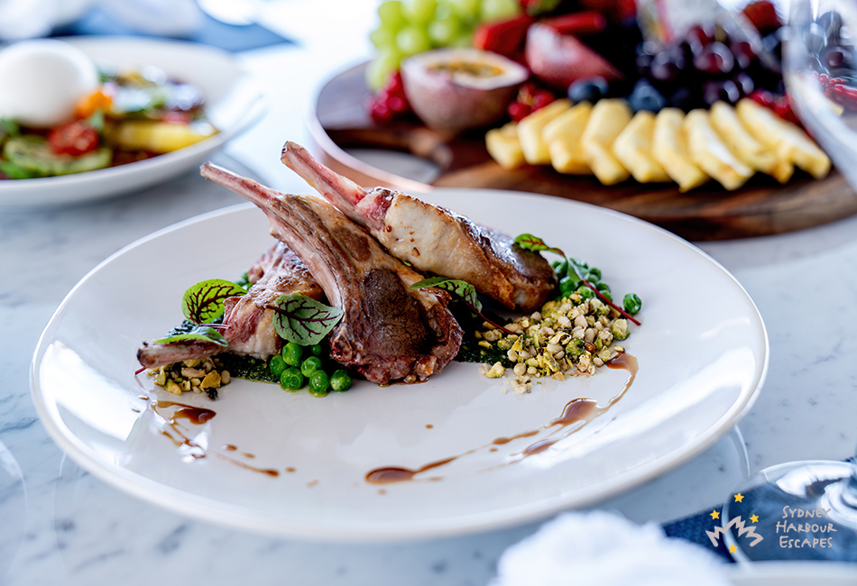 Evolution Boat Hire - Private Party Boat Charter - Sydney Harbour