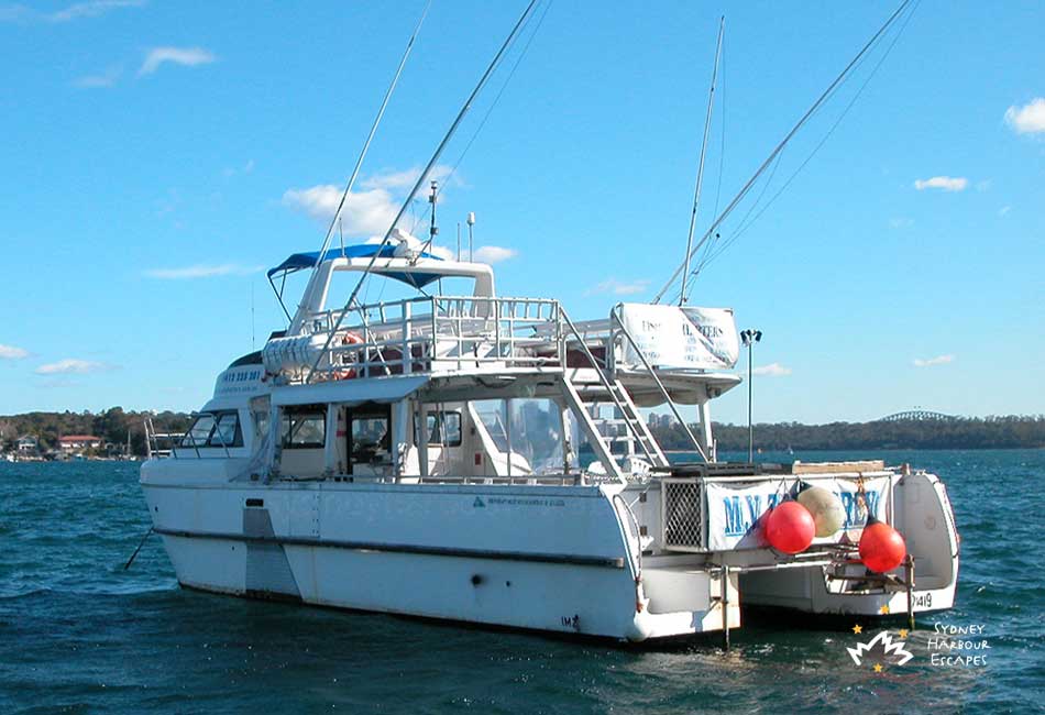 Zane Grey Boat Hire - New Years Eve Cruise - Sydney Harbour