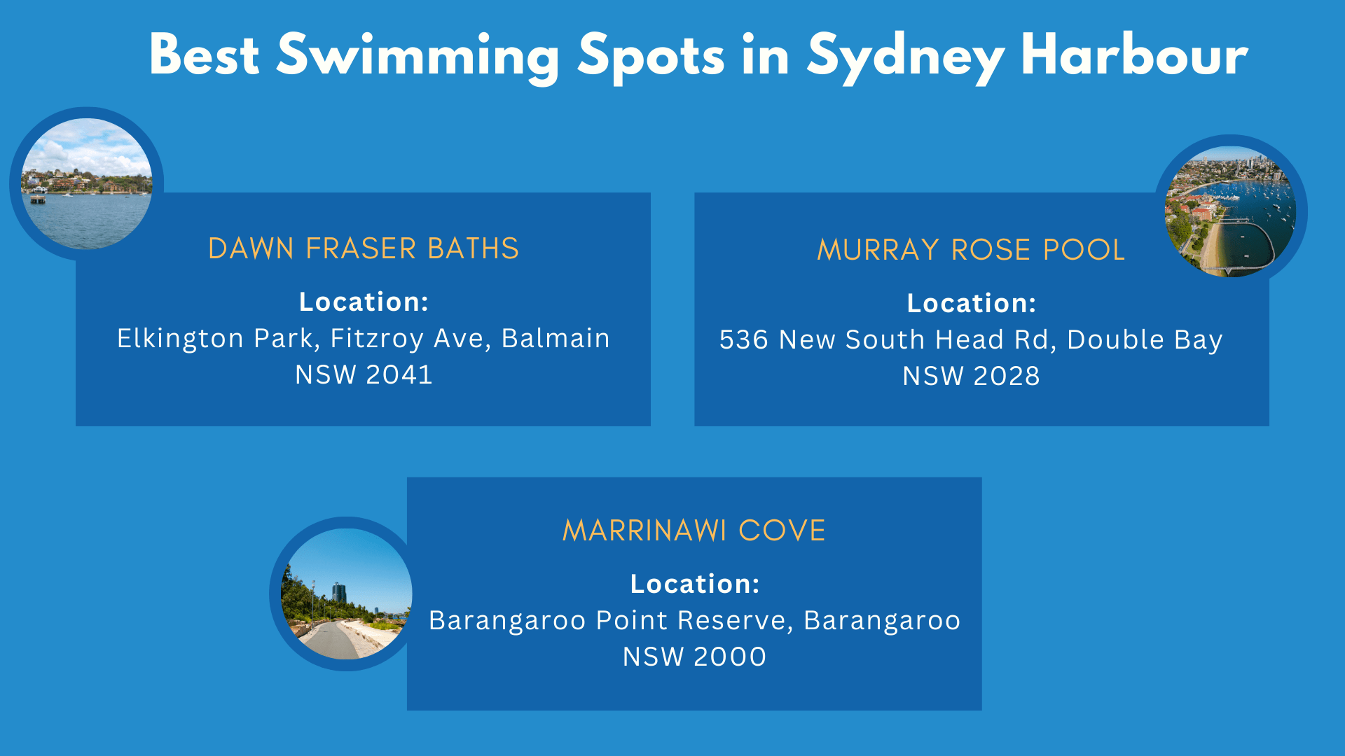 7 Best Swimming Spots in Sydney Harbour